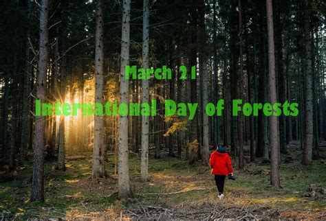 ජාත්‍යන්තර වනාන්තර දිනය අදයි Lnw Sinhala