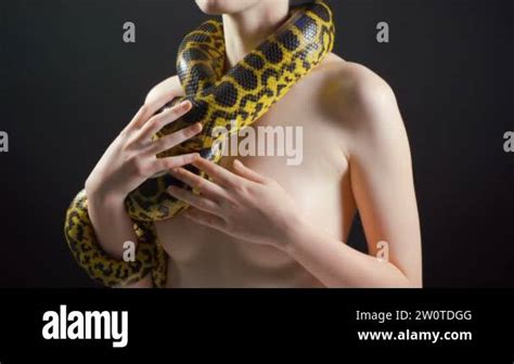 Video Of Nude Woman Holding Python On Black Background Stock Video
