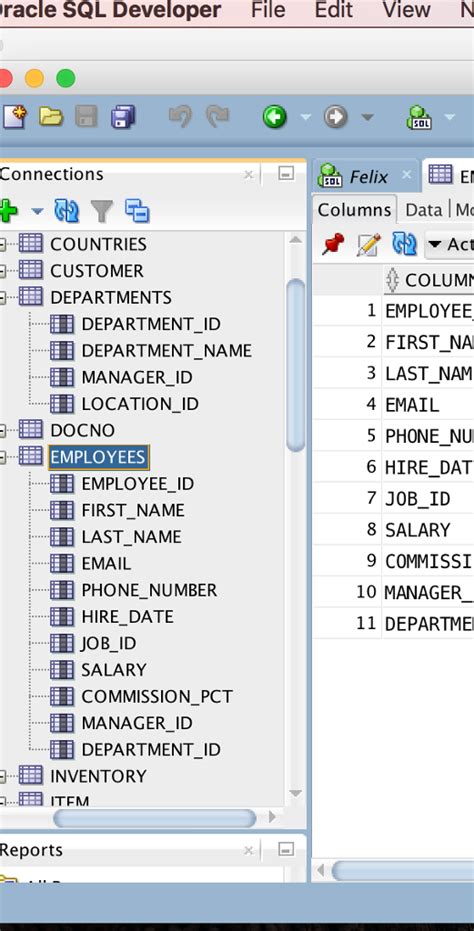 Solved Oracle Sql Developer File Edit View N Connections