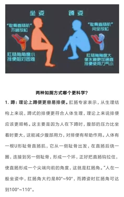 蹲便和坐便哪个更科学？ 微医（挂号网）