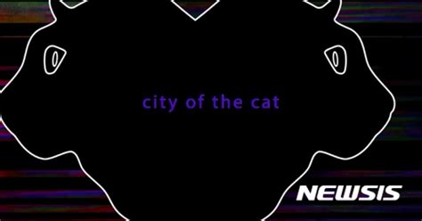 오 대전스카이로드 영상전