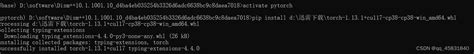 PIP 镜像安装Pytroch torch镜像 CSDN博客