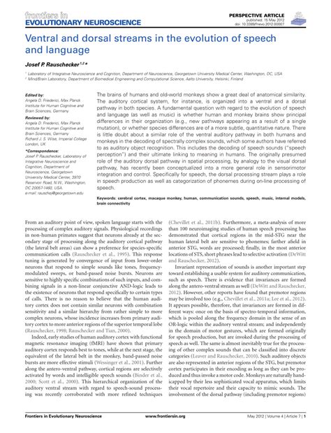 Pdf Ventral And Dorsal Streams In The Evolution Of Speech And Language