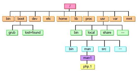 Linux操作系统基础知识 Csdn博客