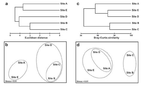 Cluster Analysis And Multidimensional Scaling Mds Ordinations For Download Scientific Diagram