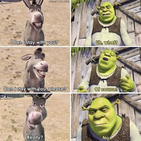 Pin By Victoria Rodarte On Dreamworks Favorite Movie Quotes Shrek
