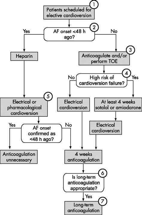 Rhythm Control And Cardioversion Heart