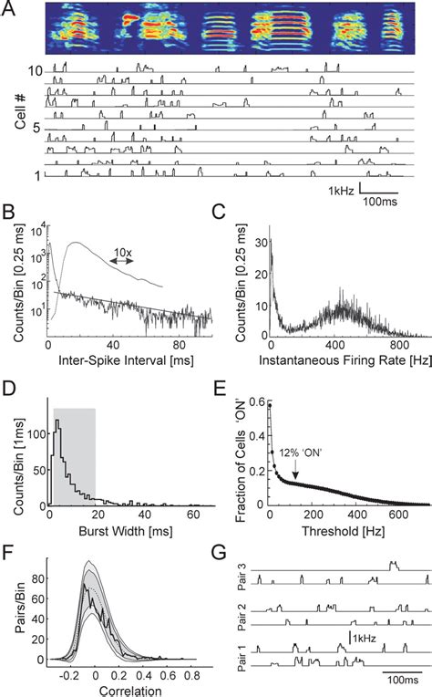 Ensemble Coding Of Vocal Control In Birdsong Journal Of Neuroscience