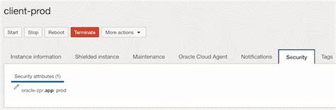 Create And Configure Oracle Cloud Infrastructure Zero Trust Packet Routing