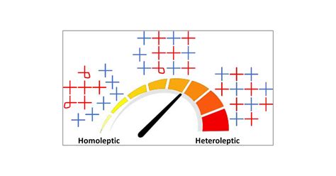 Connectivity Defects In Metallo Supramolecular Polymer Networks At