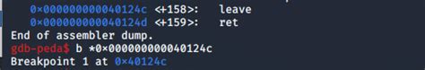 C Gdb Cannot Access Memory At Address Stack Overflow