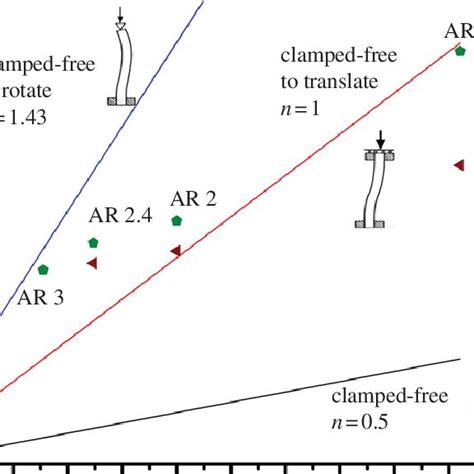 Theoretical Euler Bernoulli Buckling Stress Lines And Measured Download Scientific Diagram