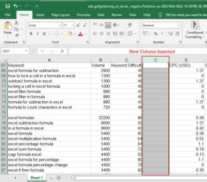 Modifying Rows And Columns In Excel