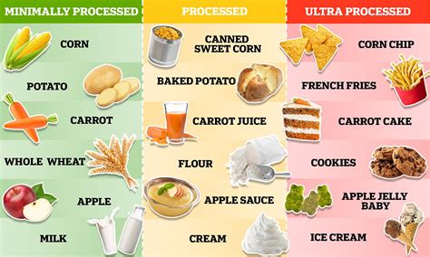 What Are Processed Foods