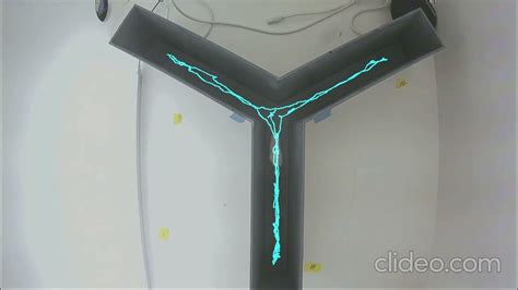 Y Maze Mouse Tracking Youtube