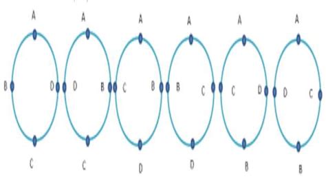 Cyclic Permutations Mathematics Satyam