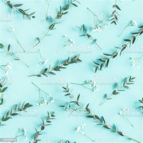 꽃 구성 석고 꽃 푸른 배경에 유칼립투스 가지 봄 컨셉 플랫 레이 상단 보기 0명에 대한 스톡 사진 및 기타 이미지 0명 3월 개념 Istock