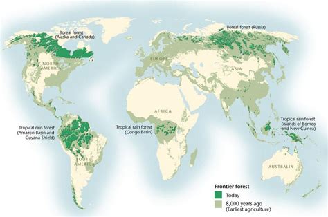 Coniferous Forests Map