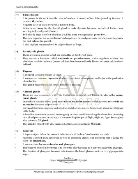 Control And Coordination Class 10 NCERT Pdf Notes PDF Brain And Nervous System Disorders