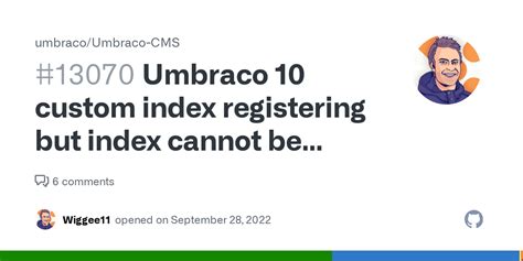Umbraco 10 Custom Index Registering But Index Cannot Be Rebuilt Because It Has No Assigned