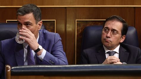 Sánchez Y Albares Dos Cerebros Cocidos Por La Calor
