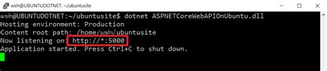 Linux Ubuntu Asp Net Core Webapi