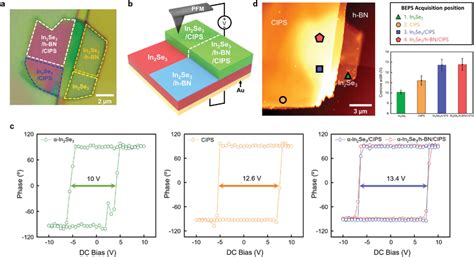 A Om Image Of Au α‐in2se3 H‐bn Cips Pfm‐tip Structure The Yellow
