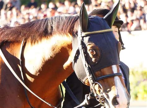 10月29日東京競馬⭐︎天皇賞秋⭐︎プログノーシス⭐︎次走香港c 公式：黒澤ひかりのキラキラ日記～magic Kiss Lovers Only～