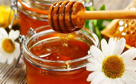 Цветы пахнущие медом 66 фото