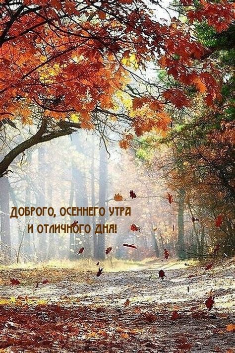 Доброго утра Отличного осеннего дня и прекрасного настроения