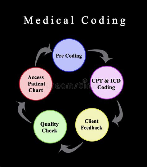 Components Of Medical Coding Stock Illustration Illustration Of Quality Patient 239565488