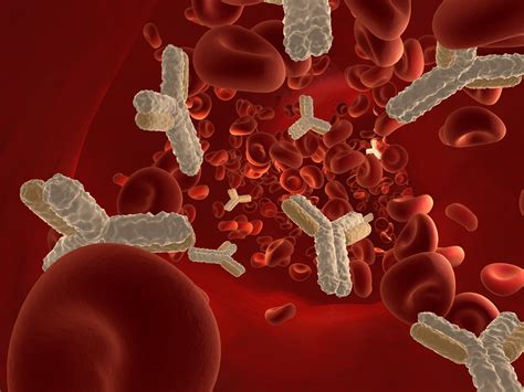 What Is Acquired Immunity Interactive Biology With Leslie Samuel