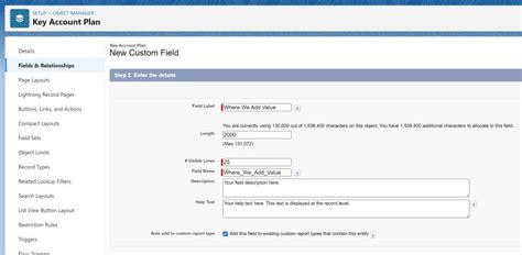 Add Custom Fields To Key Account Plan Account Planner By GSP