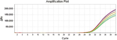 HLA B27 PCR Test Kit Real Time ACON LABS INC