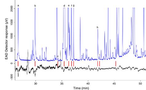 Fid Chromatographic Peaks Top Trace For E Globulus Leaf Volatiles Download Scientific