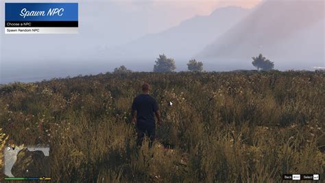 Npc Spawner Gta5