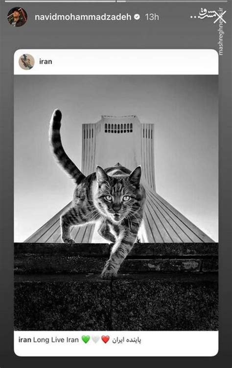 واکنش چهره‌های مطرح هنری و ورزشی به تجاوز رژیم صهیونیستی مشرق نیوز