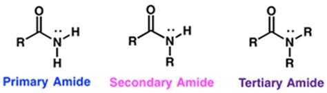 Amides Nomenclature Classification Natural Sources Synthesis And
