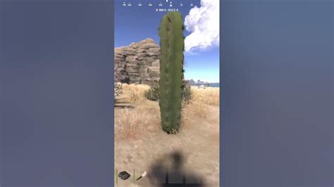 from a rock to a tommy kit in 2 seconds 🤷🏼‍♂️👏🏻 rust rustconsole