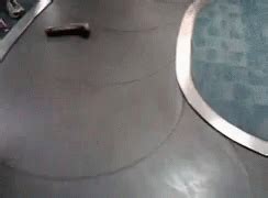 Black Dildo GIF Black Dildo Dick Discover Share GIFs