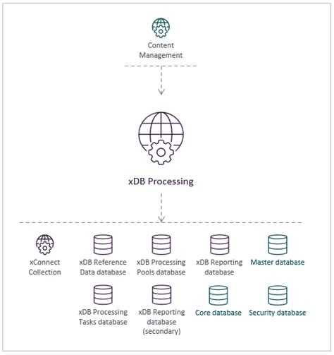 Xdb Processing Sitecore Documentation