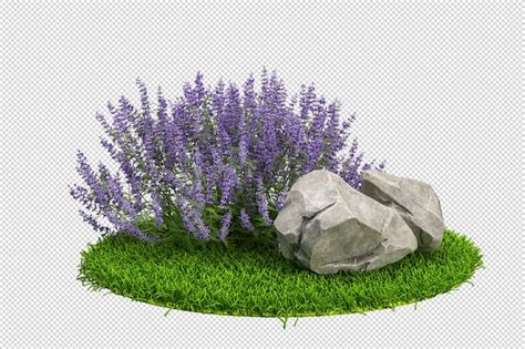 Premium Psd Beautiful Variety Of Shrubs Rendering