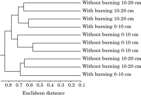 hierarchical clustering analyses of bacterial communities based on the