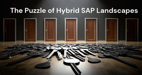 The Puzzle Of Hybrid Sap Landscapes