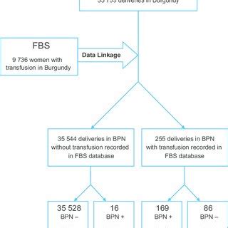 A Flow Chart Of The Linkage Of FBS And BPN Databases Birth Related Download Scientific Diagram
