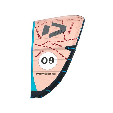 Duotone Evo Sls Pink Pig Limited Edition Kitesurfing Reviews