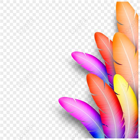 Colorful Feather Texture Border Gradient Colorful Feathers Frame Colorful Texture Gradient