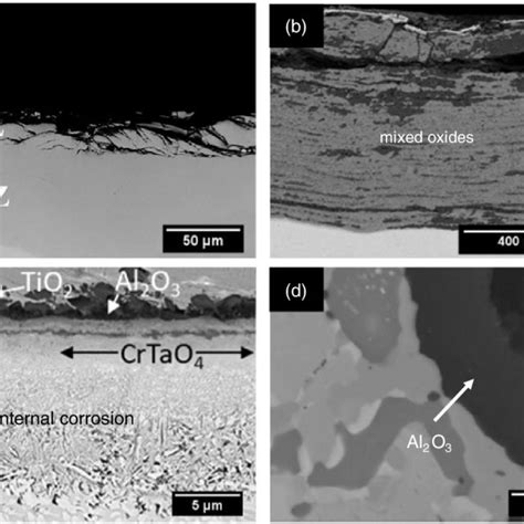 Cross Sections Of Various Rhea After Oxidation In Air Conditions In