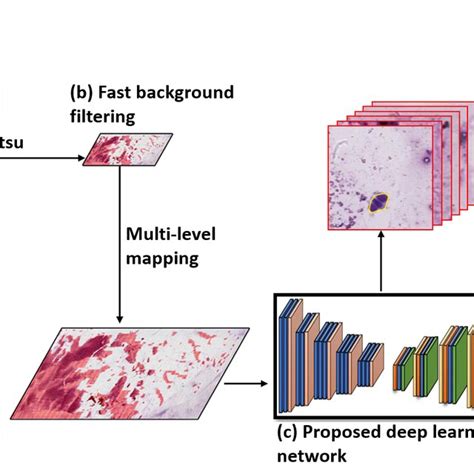 The Overview Of The Proposed Deep Learning Analysis System A Each