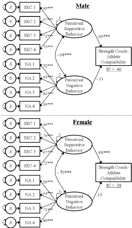 Empirical Results From The Multiple Group SEM Factorial Model P